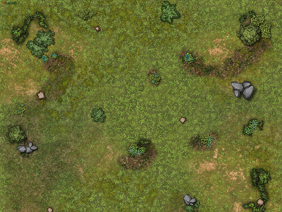 The Gaming Mat Company Dungeons and Dragons DnD Grassland Playmat for